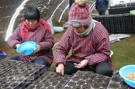 图说滕州