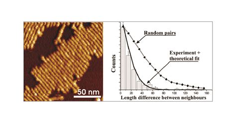 Self Sorting Of Polyelectrolyte−amphiphile Complexes On A Graphite Surface Macromolecules