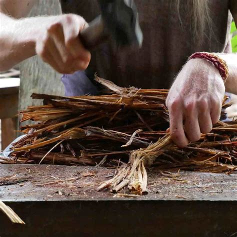 Ibogaine Vs Ayahuasca Addiction Treatment In 2025