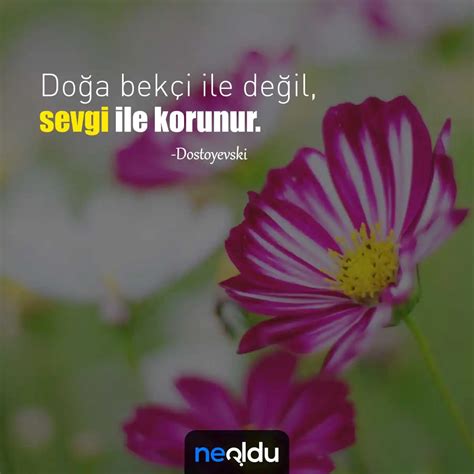 Doğa İle İlgili Sözler Tabiat ve Yeşillik İle İlgili Sözler