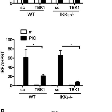 Activation Of The Tlr3 Pathway Endosomal Polyic Bound Tlr3