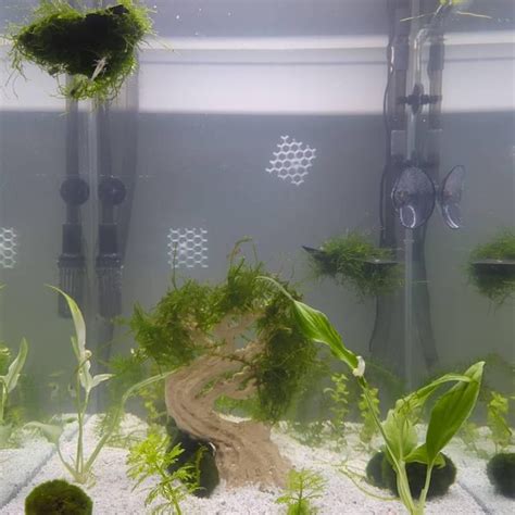 Random Flow Generator 33 28mm Etsy