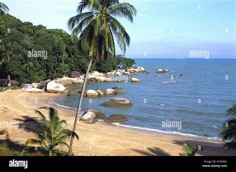 Malaysia Penang Tanjung Bunga Stockfotografie Alamy