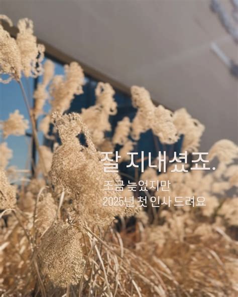 오늘도 살림중 공구오픈 🔔잠시후 10시 오픈합니다 샤토에르 원목 스탠딩 냄비받침 오픈했어요🤎 주방 한켠에 오브제로 올려 두었다가 필요할 때 하나씩 빼서 쓰고 한세트에