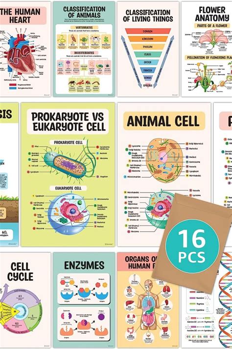 Science Posters For Classroom Educational And Inspiring
