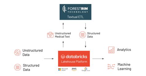 Improving Patient Insights With Textual Etl In The Lakehouse Paradigm