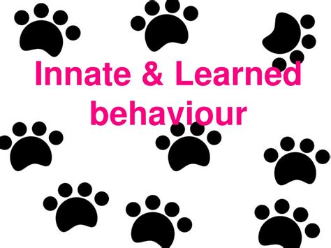Ppt Innate And Learned Behaviour Powerpoint Presentation Free Download Id 5722526