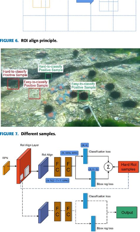 Figure 7 From Two Stage Underwater Object Detection Network Using Swin