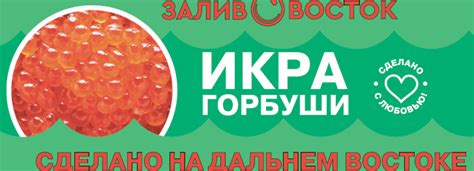 Залив Восток