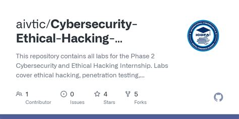 Cybersecurity Ethical Hacking Internship Labsint403information