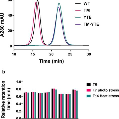 Clustering Of The Tm Yte Modifications On The Igg1 Structure The Tm Download Scientific