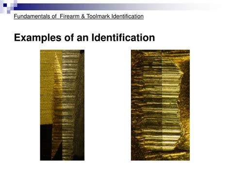 Ppt Firearm And Toolmark Identification Powerpoint Presentation Id