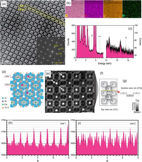 STEM Data Showing Detailed Information Regarding The Structure Download Scientific Diagram
