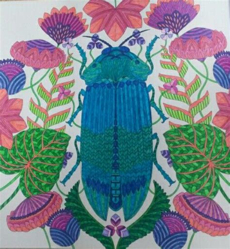Millie Marotta Curious Creatures Beetle Millie Marotta Coloring Book Millie Marotta
