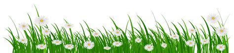 Free Flower Grass Cliparts Download Free Flower Grass Cliparts Png