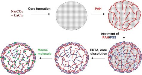 Scheme Of Microcapsule Fabrication And Encapsulation Of Macromolecules
