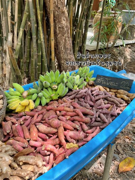 ตลาดน้ำกลางป่ากวางโจว 🚤🌳 ของกินเยอะ แกลเลอรีที่โพสต์โดย Mameaw Lemon8