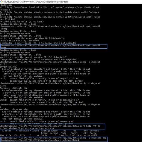 wiki lesson 1 page 12 part 1 2018 fast ai course forums