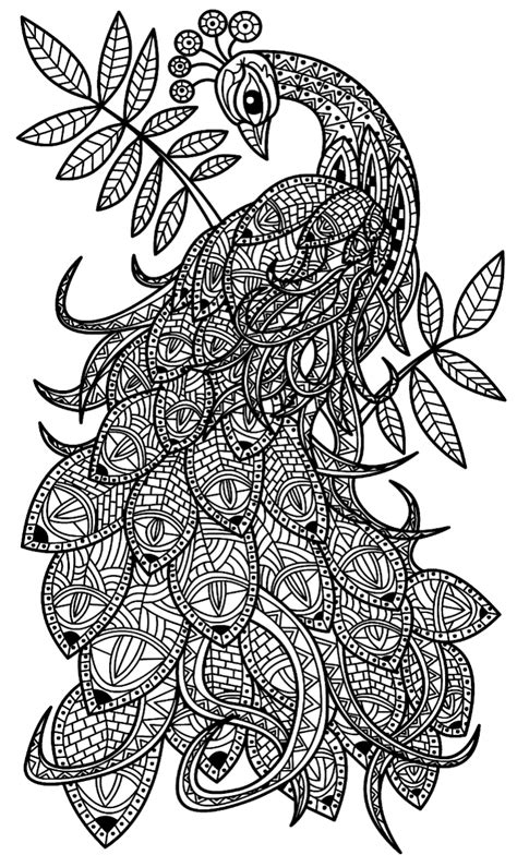 Pin Af Barbara På Coloring Peacock Malebøger Sten