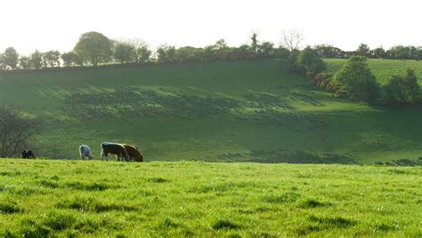 Cloughbane Farm Cloughbane Farm UK