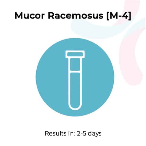 Medical Diagnosis Mucor Racemosus M 4