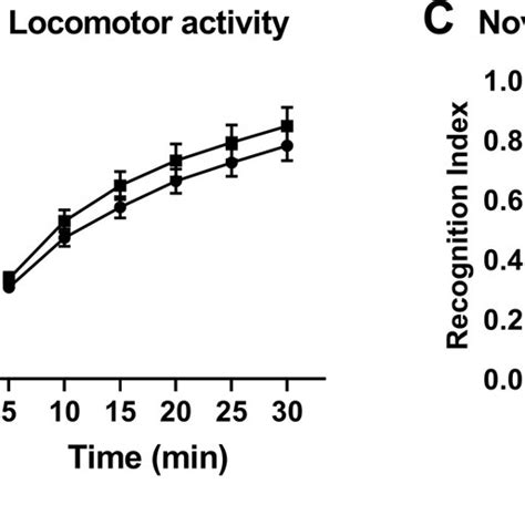 Prdm2 Knock Down KD In The Dorsomedial Prefrontal Cortex DmPFC Does