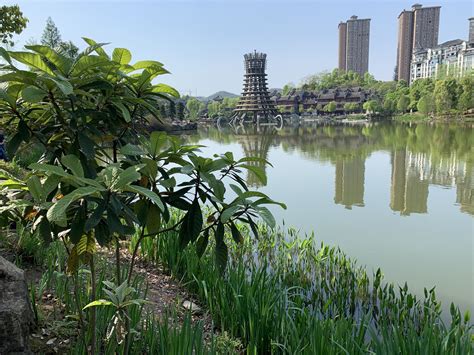 2024秀湖公园游玩攻略清明假期来玩的，景观非常漂 【去哪儿攻略】