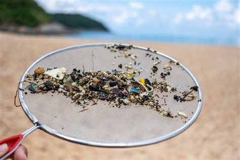 Plant Based Plastic Releases Nine Times Less Microplastics Than