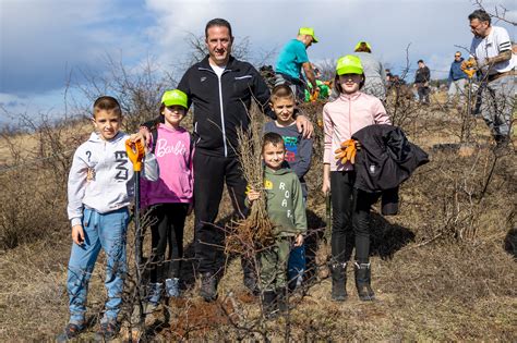 Засаждаме бъдеще над 3300 дръвчета бяха посадени в Радомир