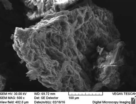 The SEM Image Of TC Download Scientific Diagram