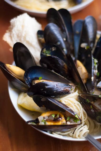 Mussels In White Wine Sauce The Adventure Bite