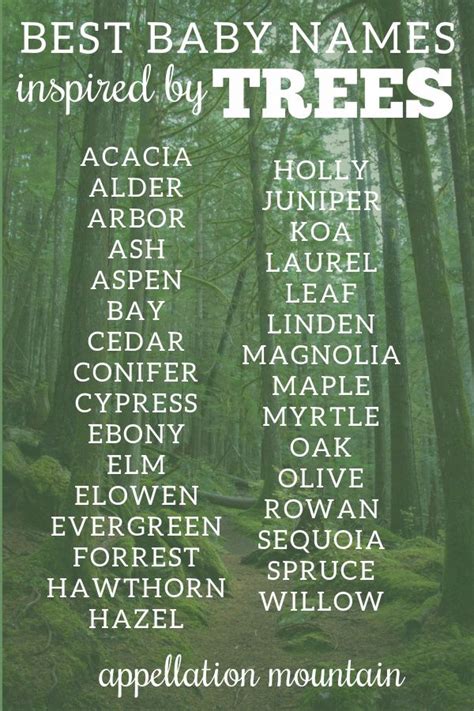 Names Etc Artofit