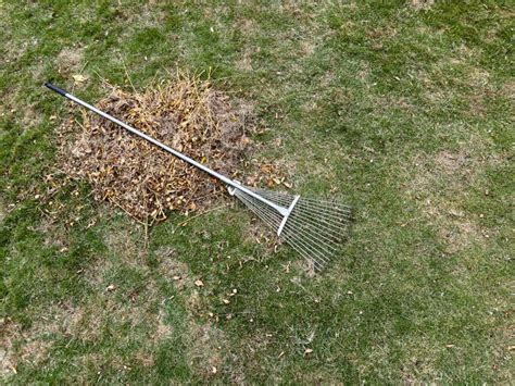 Metal Lawn Rake For Removing Dry Leaves And Litter From The Grass Stock