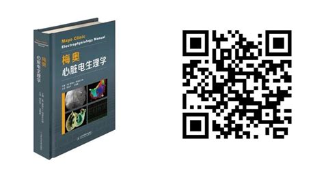 文章详情