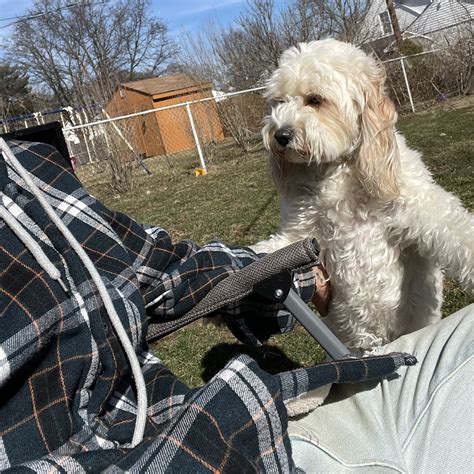 Joshua Blisset Youtube