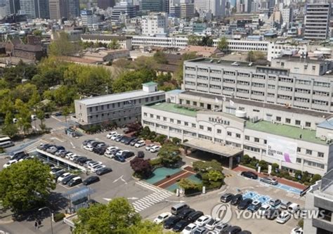 쿠키메디컬