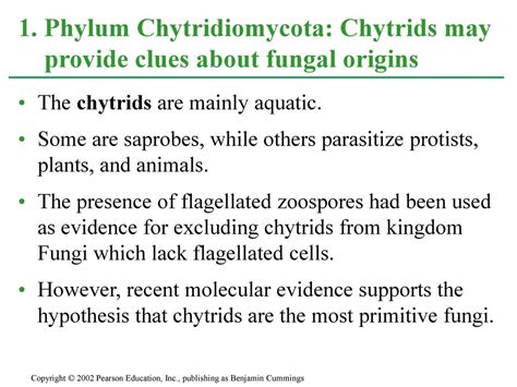 Section A Introduction To The Fungi Ppt Download