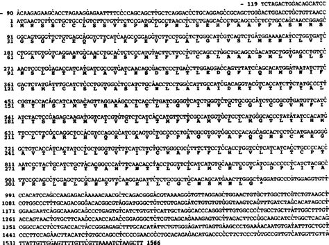 Figure 1 From Molecular Cloning Functional Expression And