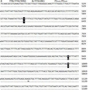 Sequence Of TetB Gene Showing Mutations And Conserved Regions