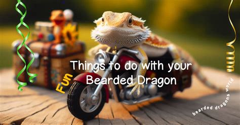 Bearded Dragons Emotions Understanding And Reading