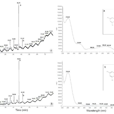 E High Performance Liquid Chromatography Photo Diode Array Detector Download Scientific Diagram