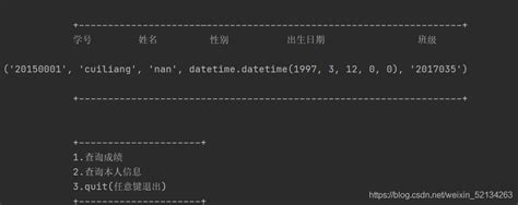 基于python的学生信息管理系统！听说好多人的作业都是这个 搜狐大视野 搜狐新闻