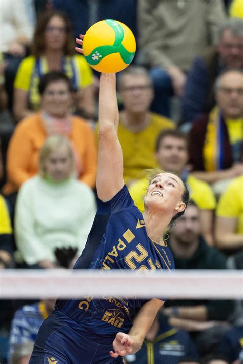 193a0494  Michael Dittmer Flickr