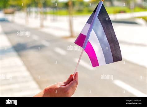 Female Hand Holding An Asexual Pride Flag Stock Photo Alamy