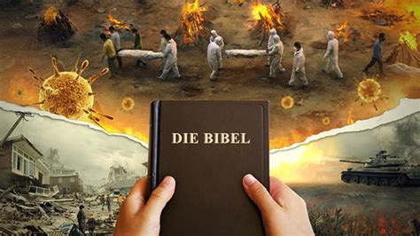 vestir Acuario cordura señales de los ultimos dias en la biblia