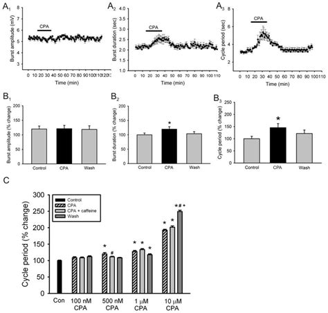 Effects Of Cpa A Specific A 1 Adenosine Receptor Agonist On