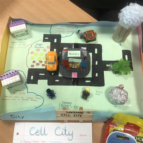Cell City Project Model
