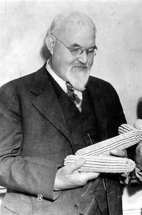 George Harrison Shull With Hybrid Corn Harry S Truman