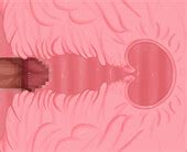 Simul NeTheR Secret Brothel And NTRed Hero Ver 1 4 2 Save Uncensor Patch