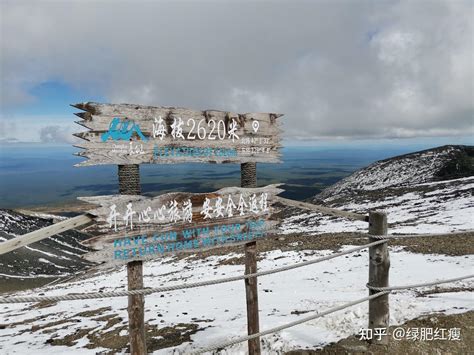 长白山北区旅游小记——2022年8月 知乎